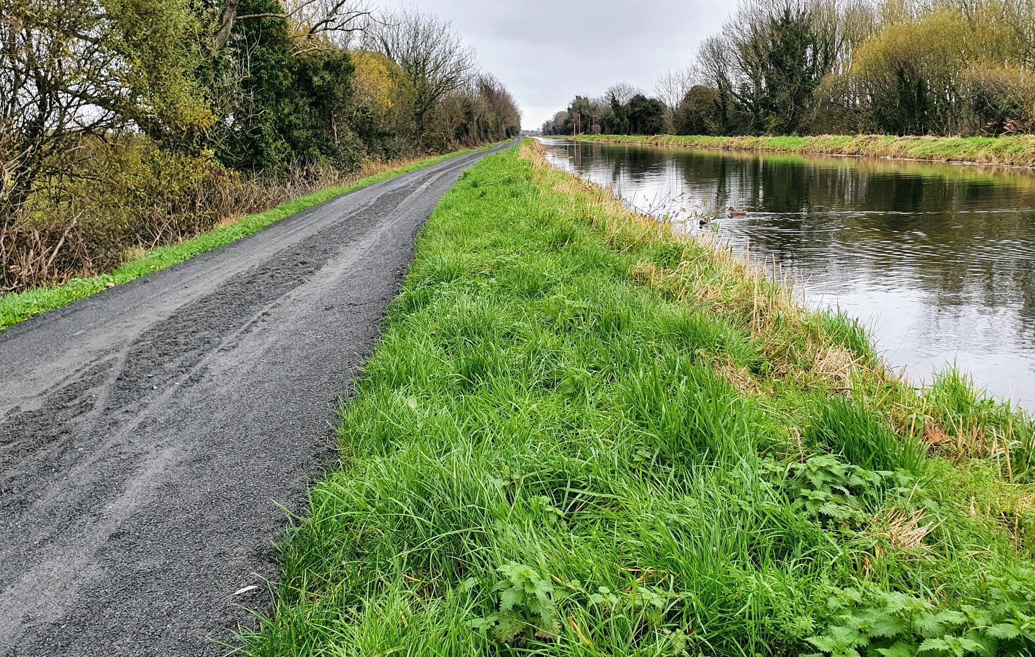 Grand Canal Bank Resurfaced » Cllr. Brendan Wyse